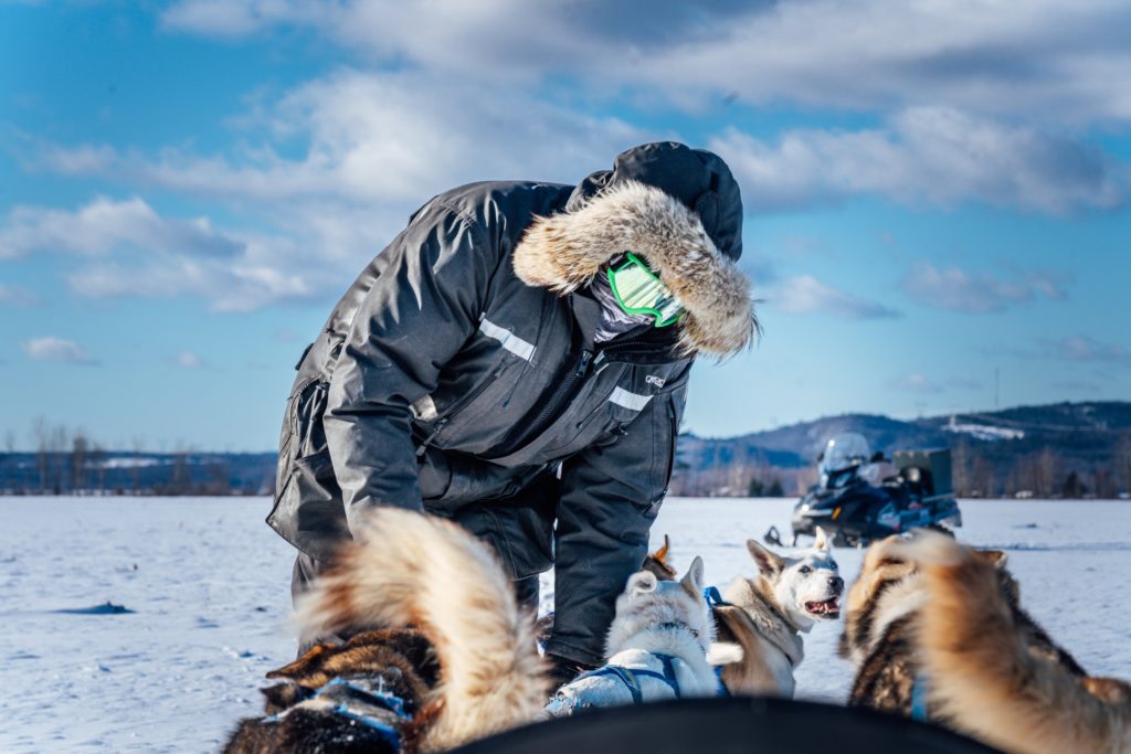 RANDO’ DE CHIENS DE TRAÎNEAUX : LA RENCONTRE DES PAYSAGES BLANCS ...